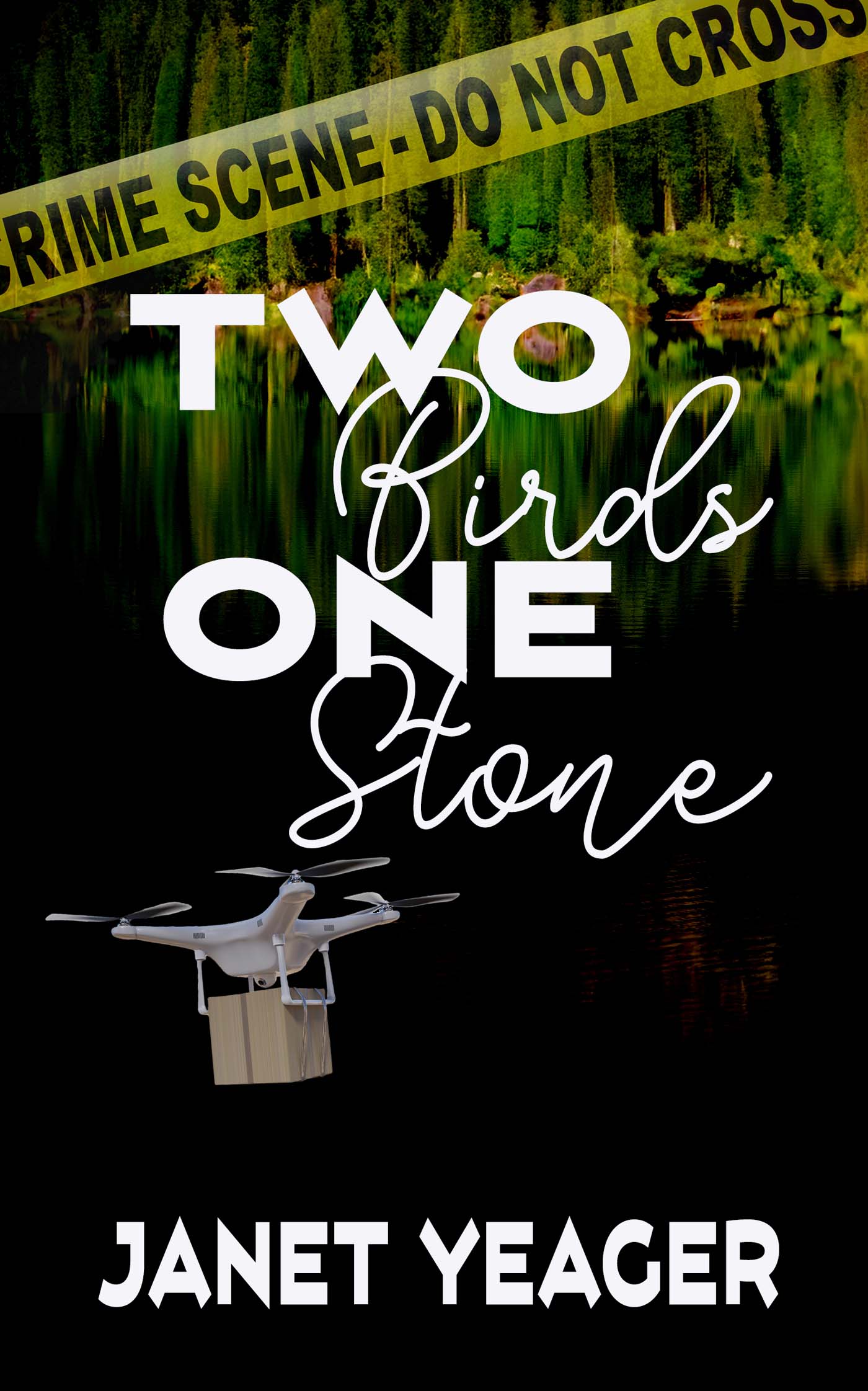 Two Birds, One Stone – The Wild Rose Press Inc