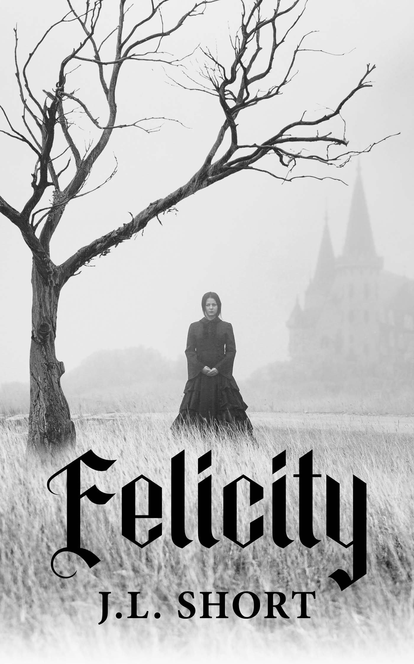 Felicity – The Wild Rose Press Inc